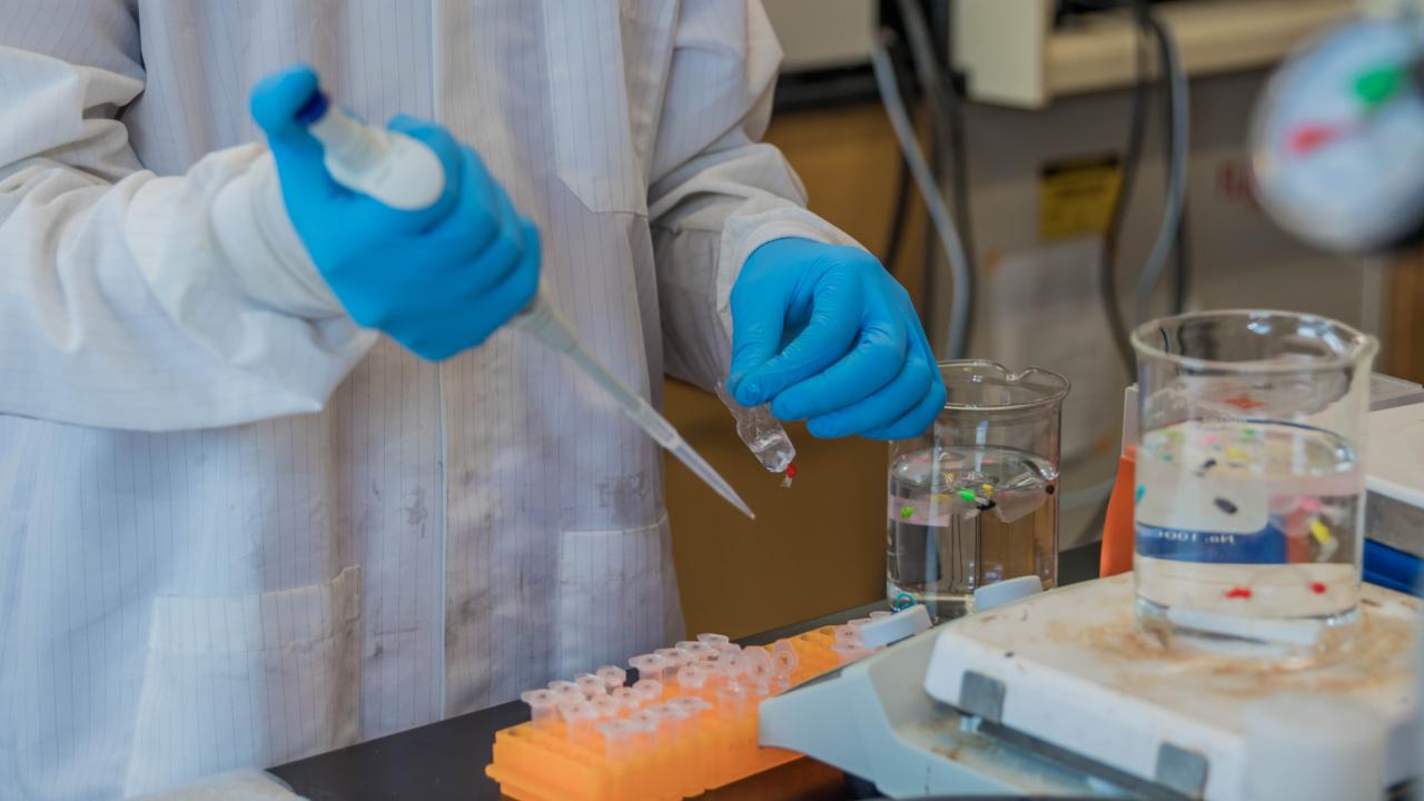 What Can I Do With a BME Degree? | Biomedical Engineering | UC Davis ...