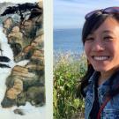 Audrey Fan | Biomedical Engineering